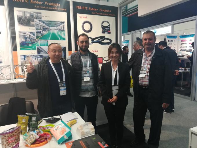 OEM DZ9112320920 Differential Oil Seal for Auman Truck Hande ,Axle ...